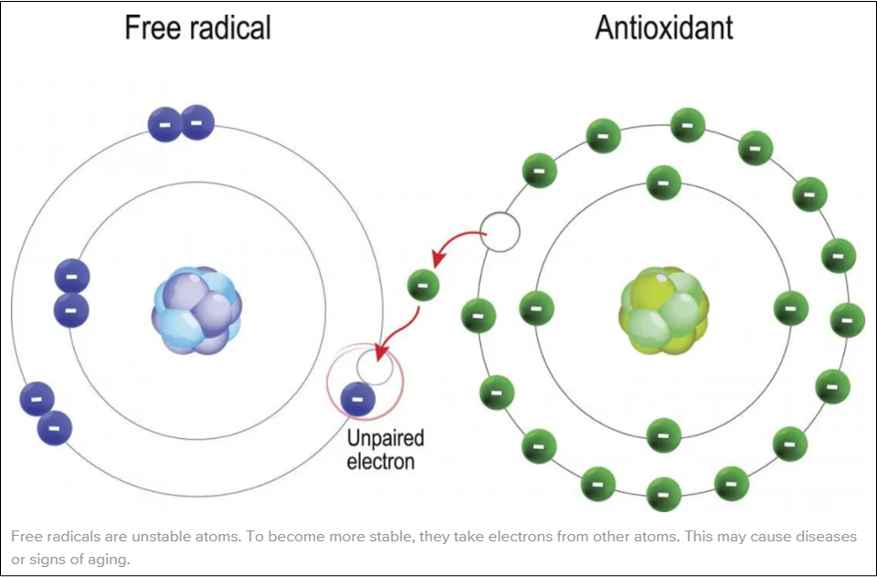Negative Ions Clothes | Negative-ions.com